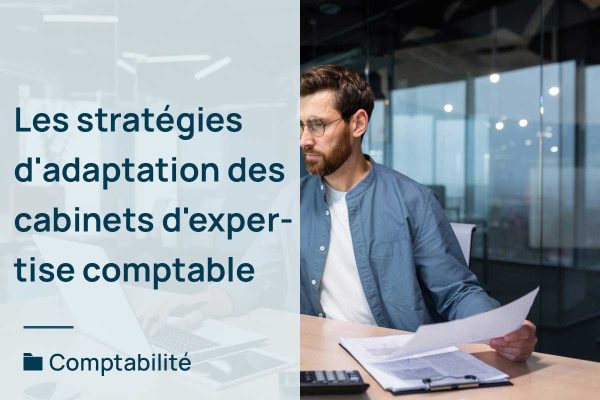 Les stratégies d'adaptation des cabinets d'expertise comptable aux ...